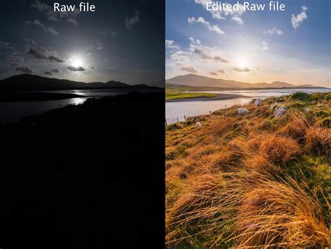 JPEG Vs RAW For Photographers Which One Is Best