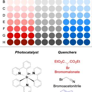 Plate Design For Workflow Validation Download Scientific Diagram