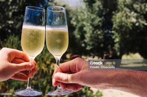반짝이는 화이트 와인 클로즈업으로 두 잔을 들고 있는 여성과 남성의 손 2명에 대한 스톡 사진 및 기타 이미지 2명 Celebration Florida 건강관리와
