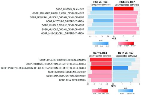 The Fast Gene Set Enrichment Analysis Fgsea Of All Identified Genes