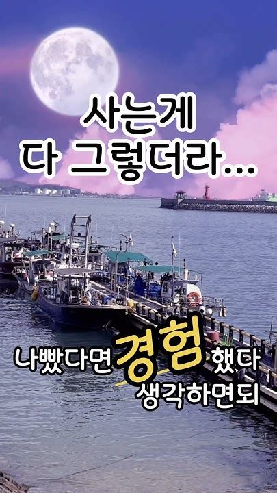 넘어져야 일어날 생각을한다 한살이라도 젊을때 도전해바 긍정 위로 명언 동반자 인생 행운 도전 Youtube