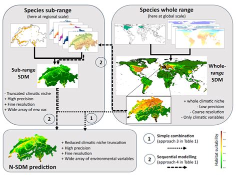Making Robust Projections Of Species Distributions At Fine Resolution