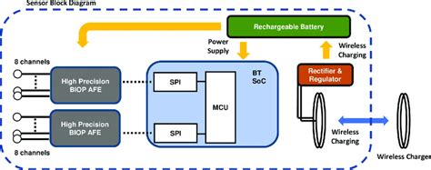 Sensor Block Diagram Of Neurodevelopmental System The Sensor Consists Download Scientific
