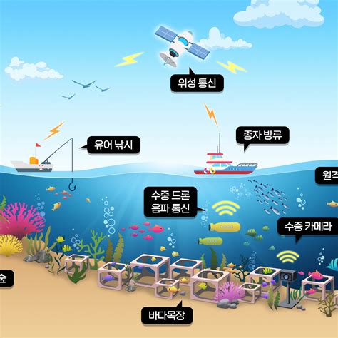 스마트 바다목장 개념도 Ppt·인포그래픽 포트폴리오 크몽