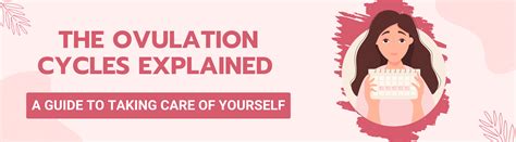 The Ovulation Cycles Explained A Guide To Taking Care Of Yourself