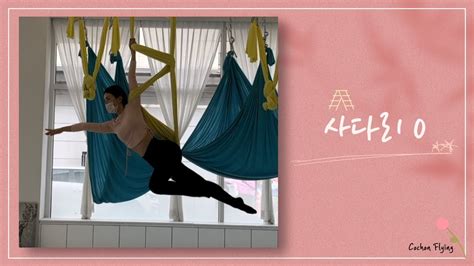 플라잉요가 사다리0🪜 Youtube