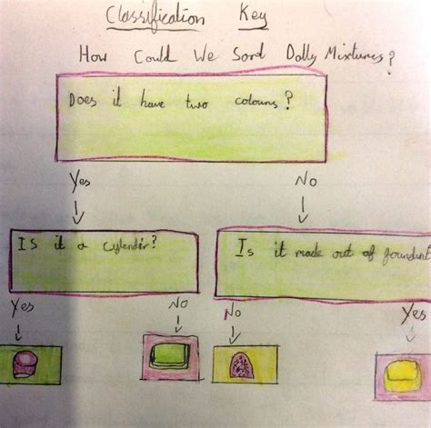 Learning About Classification Keyswith Sweets Kingsland Primary P7