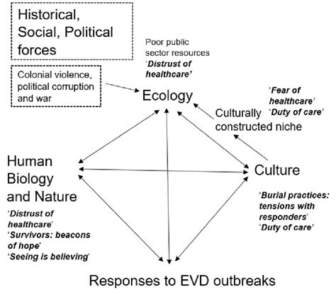 Eca Framework To Human Responses During Evd Outbreaks Modified From