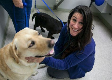 Reno Nv Veterinary Services Animal Medical Center Of Reno