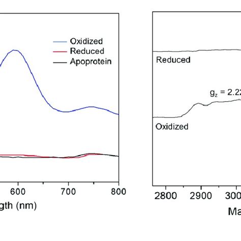 Ftir Spectrum Of The Type C Rusticyanin From A Ferrivorans A Ftir Download Scientific