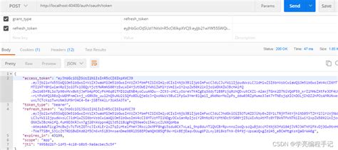 Spring Security Oauth2密码模式授权：签发令牌、校验令牌、刷新令牌oauth2 Springboot 生成令牌 Csdn博客