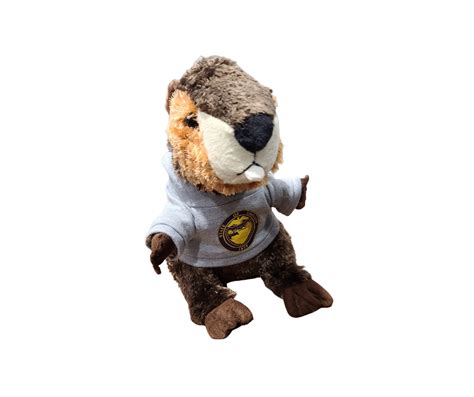 Beaver With Oregon State Seal Hoodie