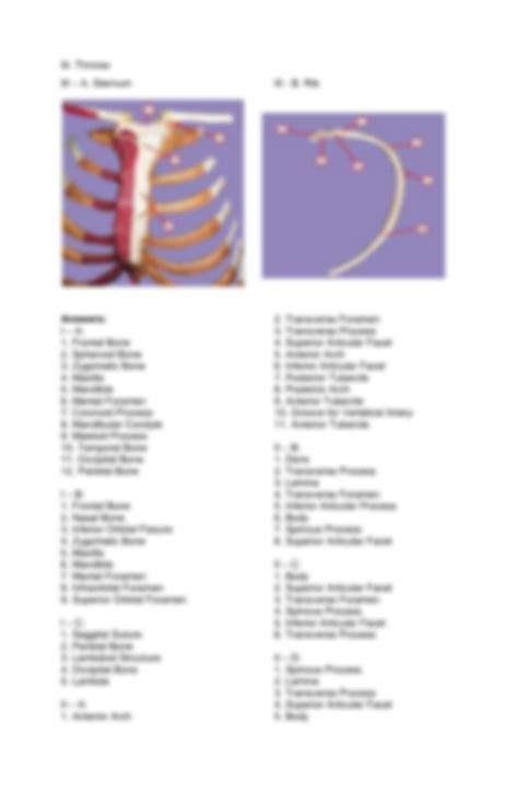 SOLUTION Group 1 Laboratory Worksheet 6 Skeletal System And Articular System Studypool