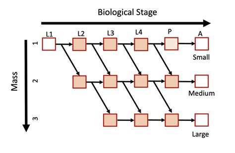 Model Formulation And Variations A Schematic Of Our Mathematical Download Scientific Diagram