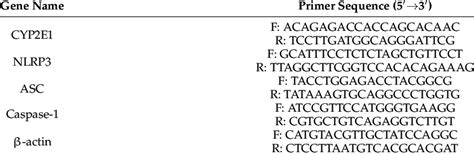 Human Primer Sequences For Rt Pcr Download Scientific Diagram