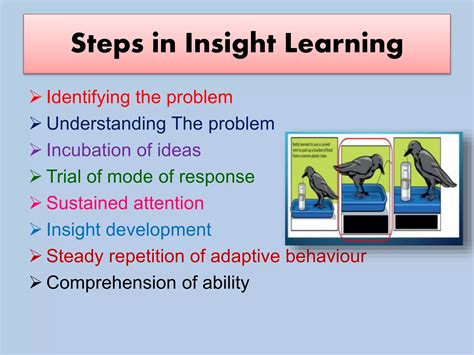 Cognitive Theory Insight Learning Gestalt School Pptx