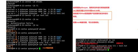 一文掌握linux权限