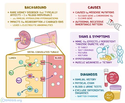 Gitelman Syndrome What It Is Causes Treatment And More Osmosis