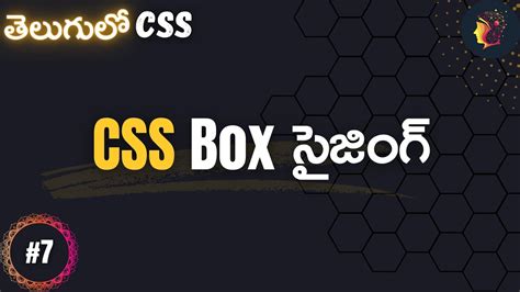 Css Box Sizing Css For Beginners In Telugu 7 Codingintelugu Programmingintelugu Youtube