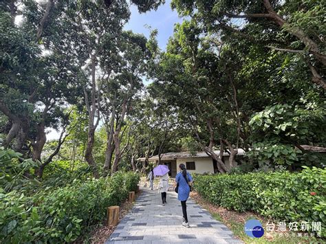 臺南秘境你來過嗎？ 228連假挑這就對了 蕃新聞