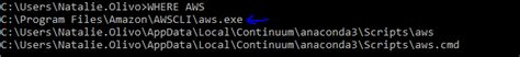 How To Install And Configure Awscli On Windows Or Mac Then Confirm It