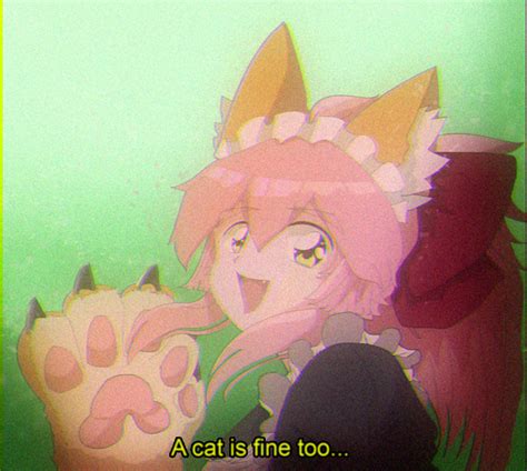A Cat Is Fine Too Meme Danbooru