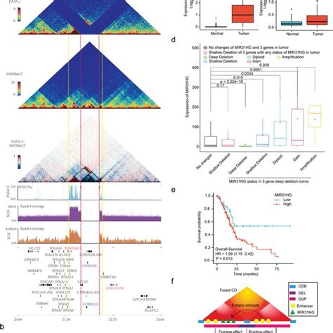 Distributions Of Structural Variations Among 3d Genome Architectures