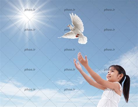 عکس با کیفیت دختر در حال رها کردن کبوتر عکس با کیفیت و تصاویر استوک حرفه ای