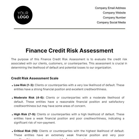 Finance Credit Risk Assessment Template Edit Online And Download Example