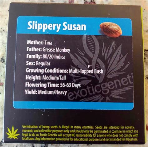 Exotic Genetix Slippery Susanreg Luscious Genetics