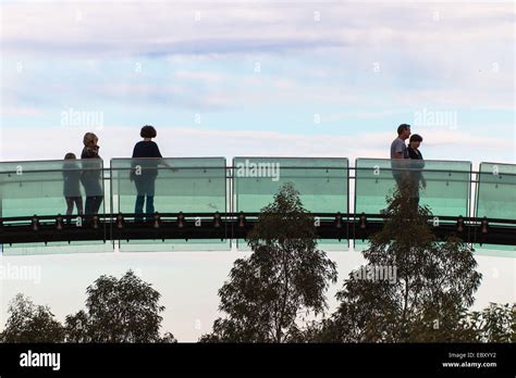 Tree Top Walk In Perth Stock Photo Alamy