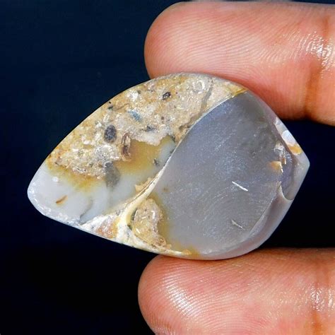 100 Natural Unique Fossil Snail Druzy Fancy Cabochon 96 35cts Loose