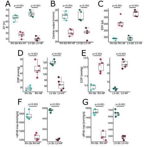 Pressure Volume Loop Derived Hemodynamic Parameters In Lv And Rv Of Download Scientific Diagram