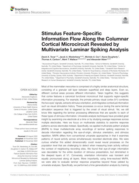 Pdf Stimulus Feature Specific Information Flow Along The Columnar