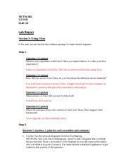 NETW202 W4 Lab Report Template V2 Docx NETW202 5 25 18 ILab 4 Lab Report Section I Using