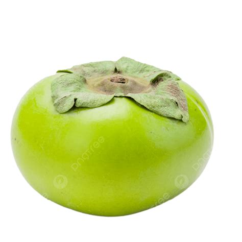 녹색 녹색 감 과일 녹색 초록색 그린 Png 일러스트 및 이미지 에 대한 무료 다운로드 Pngtree