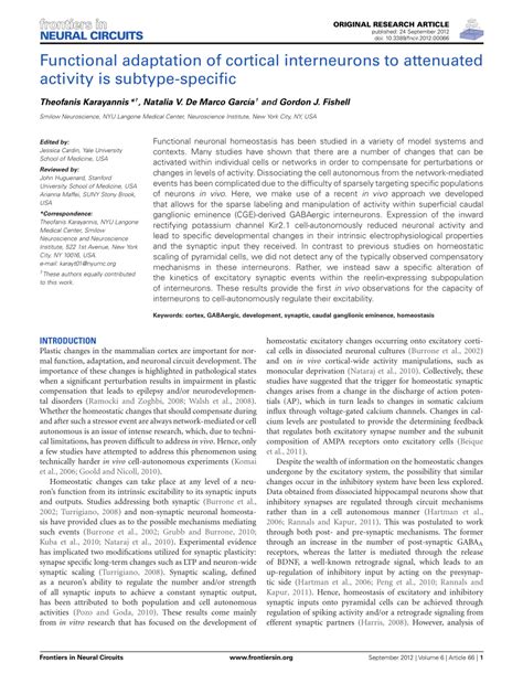 Pdf Functional Adaptation Of Cortical Interneurons To Attenuated Activity Is Subtype Specific