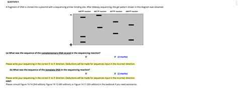 Solved Questions A Fragment Of Dna Is Cloned Into A Plasmid
