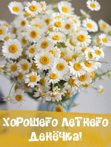 ☀️🌴😄 Картинки с добрым летним утром скачать Доброе утро Счастливые картинки Картинки