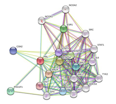 Prolactin Structure