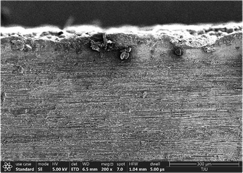Morphology Of Coatingsubstrate Interface Download Scientific Diagram