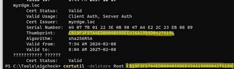 Scanning Windows Trusted Root Ca For Suspicious Certificates Windows Os Hub