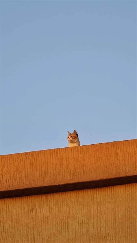 Aparna Prasad On Linkedin Cybersecurity Should Shift From Signature Based To Behavior Based