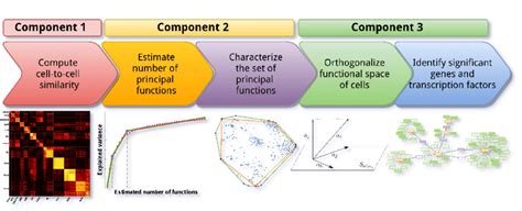 overview of action action consists of five main steps i a