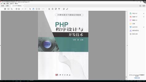 php程序设计与开发技术pdf php 程序设计 pdf csdn博客