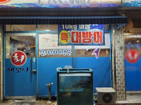 대방어 철 방어회 먹는법 방어 제철 겨울 대방어회 네이버 블로그