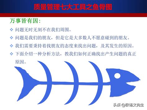 鱼骨图分析法步骤及案例详解 鸟哥笔记