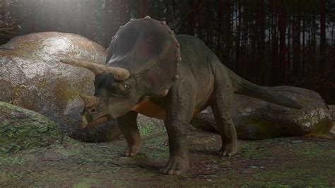 Triceratops Dinosaur In Forest Free Vr Ar Low Poly 3d Model Cgtrader