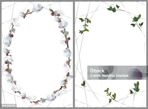 살구의 꽃입니다 하얀 꽃잎입니다 녹색 나뭇잎 화 환입니다 카드 템플릿입니다 프레임입니다 꽃 배경입니다 꽃으로 분기입니다 꽃 봉 오리입니다 0명에 대한 스톡 벡터 아트 및