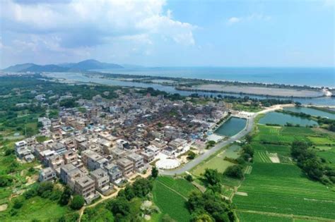 广东陆丰：建设乡村振兴示范带 绘就农村发展新“画卷” 陆丰人大网